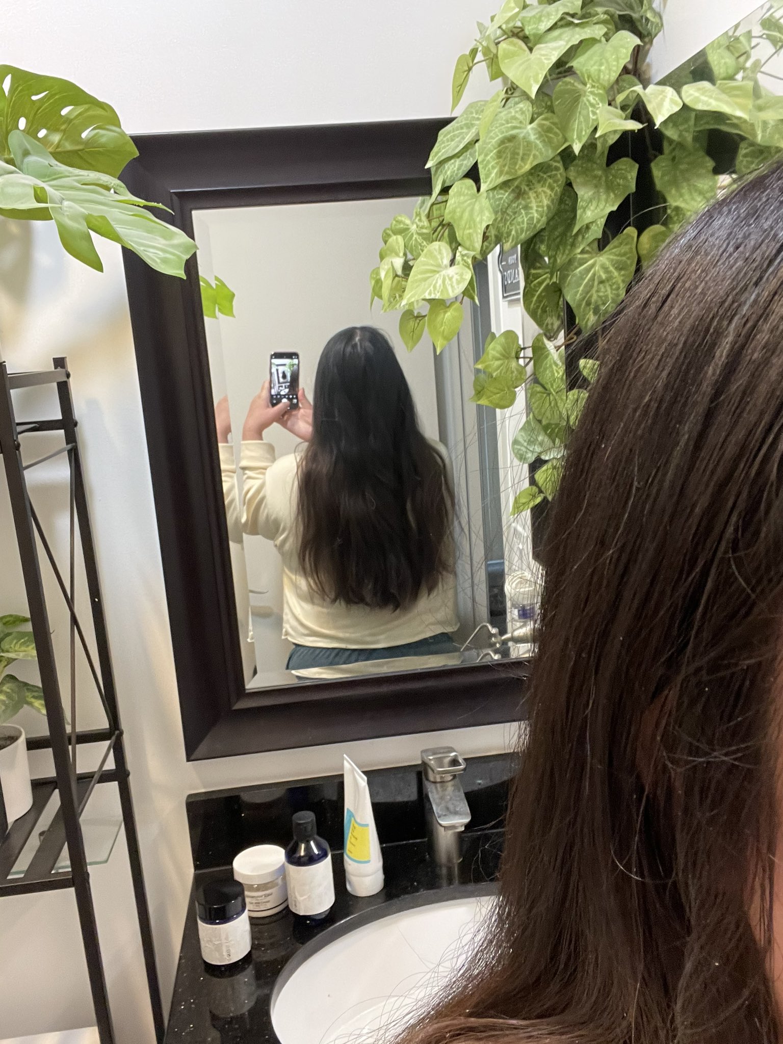 uguubear 🐻 vacation!! on Twitter: "Bye bye hair https://t.co/ajGP302IcD" / Twitter