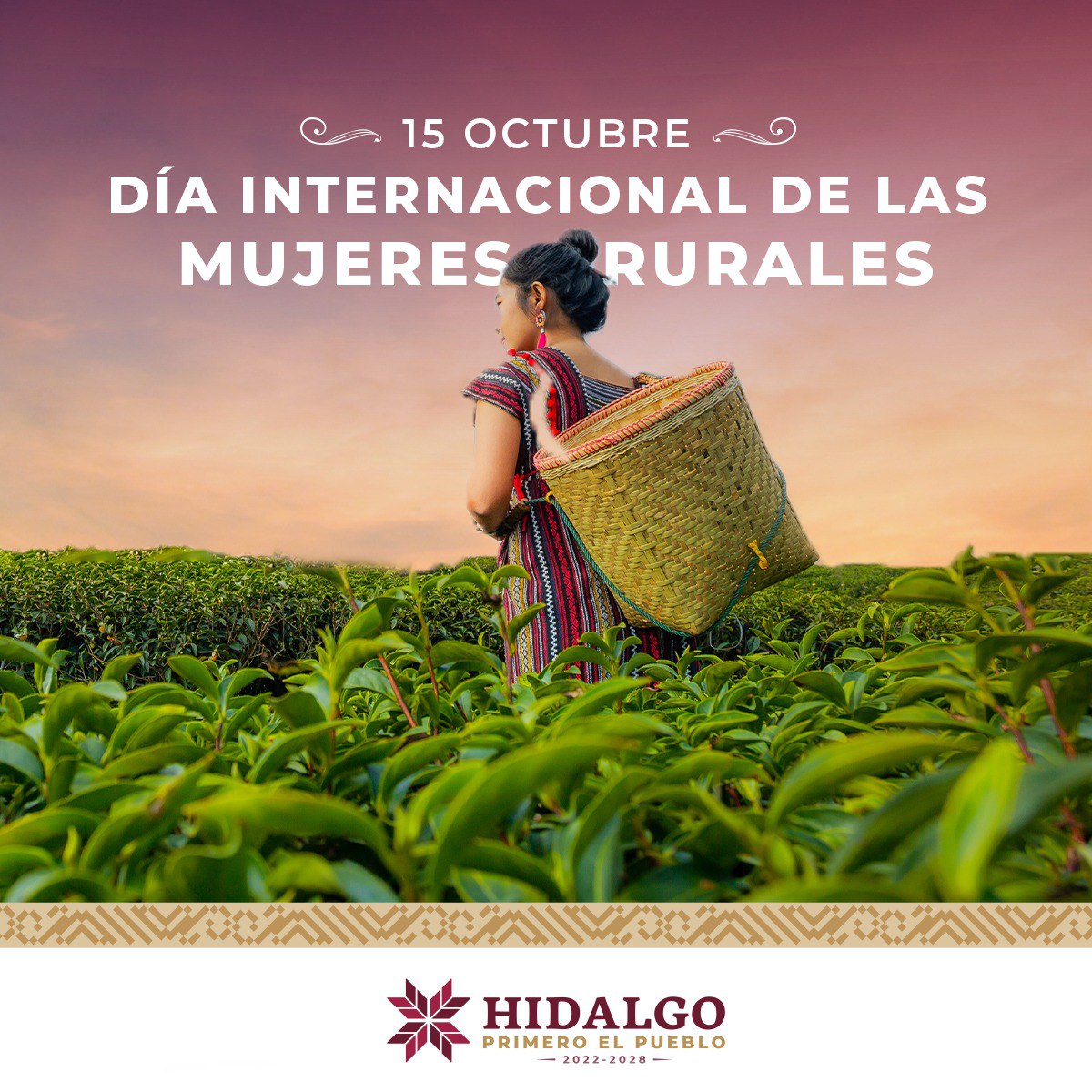 Gobierno De Hidalgo On Twitter En Este Día Internacional De Las