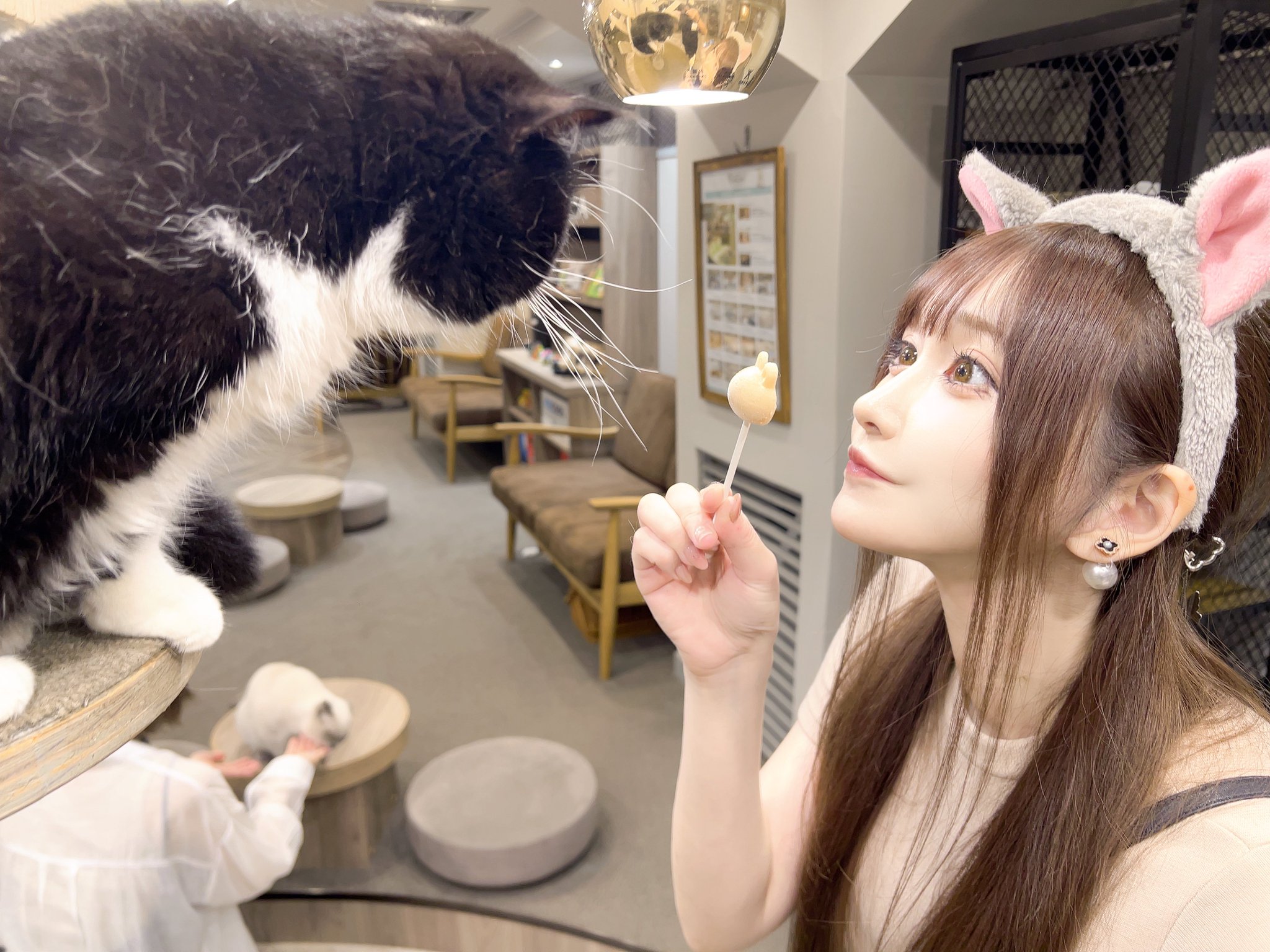 にゃるまー。🦊Nyarumaa. on Twitter: "good morning cat🐾 https://t.co/h8OUlB1Eqz" / Twitter