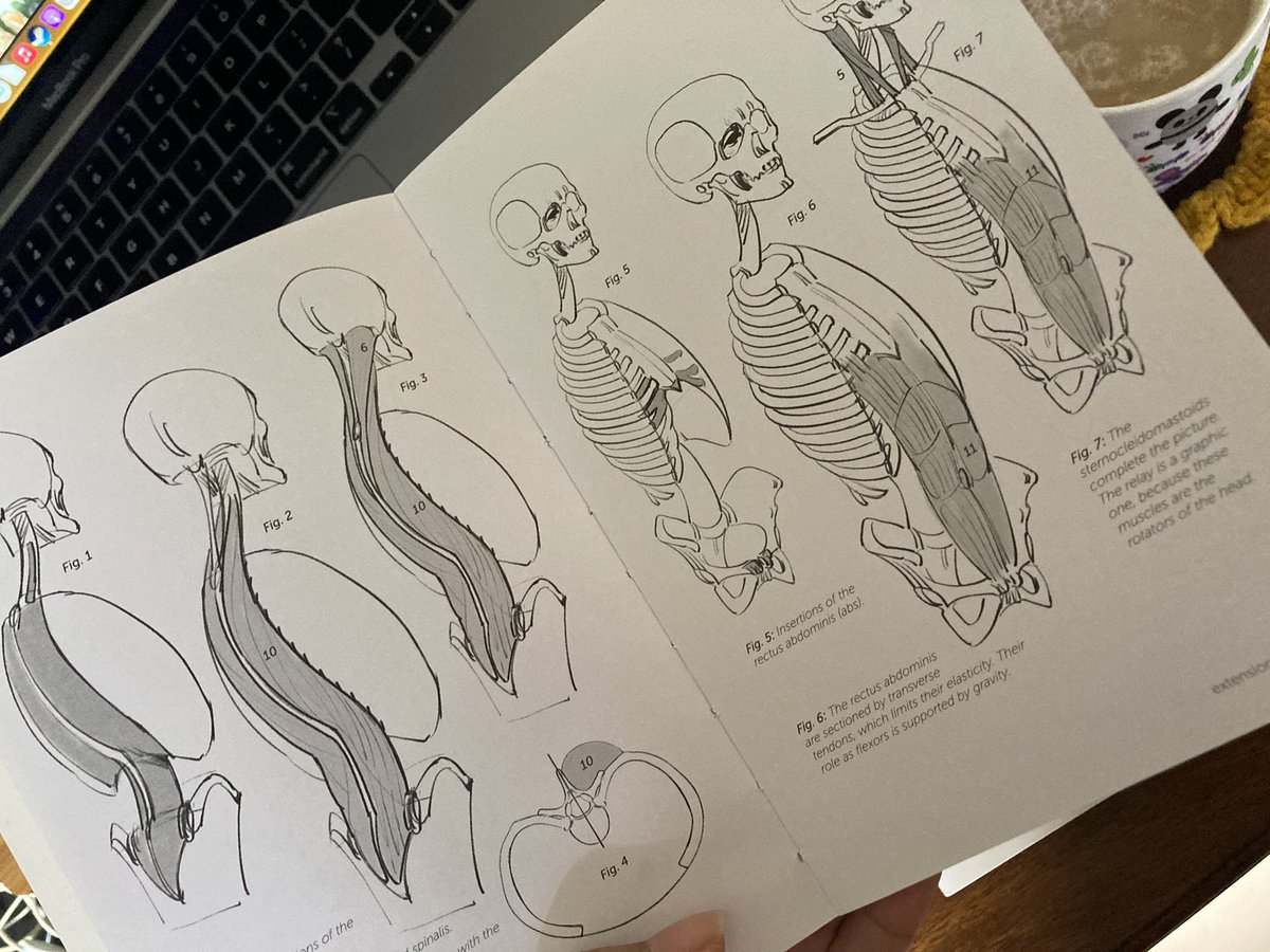 「If I gotta recommend book/s on anatomy… get Morpho. 📖🤲 Co」Lou 🌟🏳️‍🌈 ...