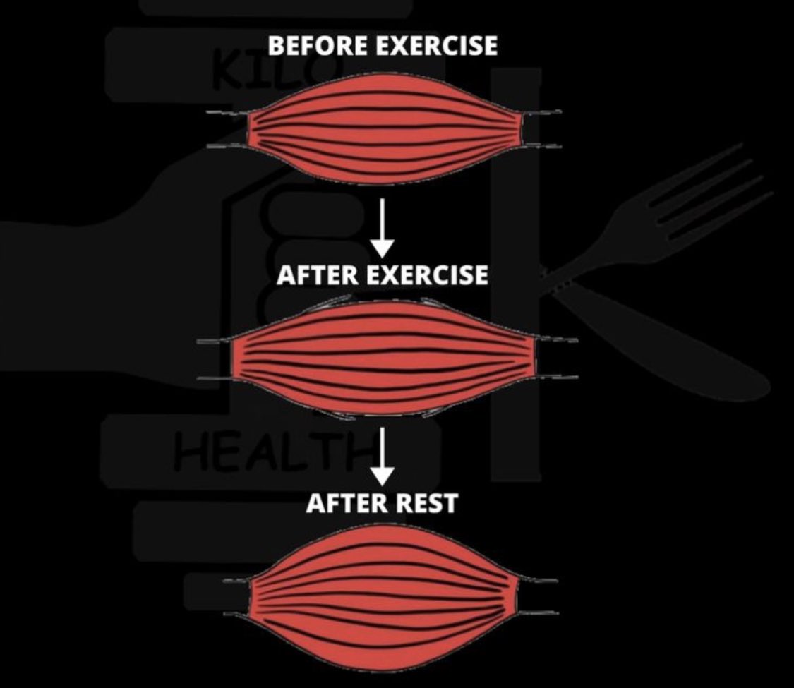MUSCLE GROWTH BASICS If you want to grow your muscle mass, you must get ...