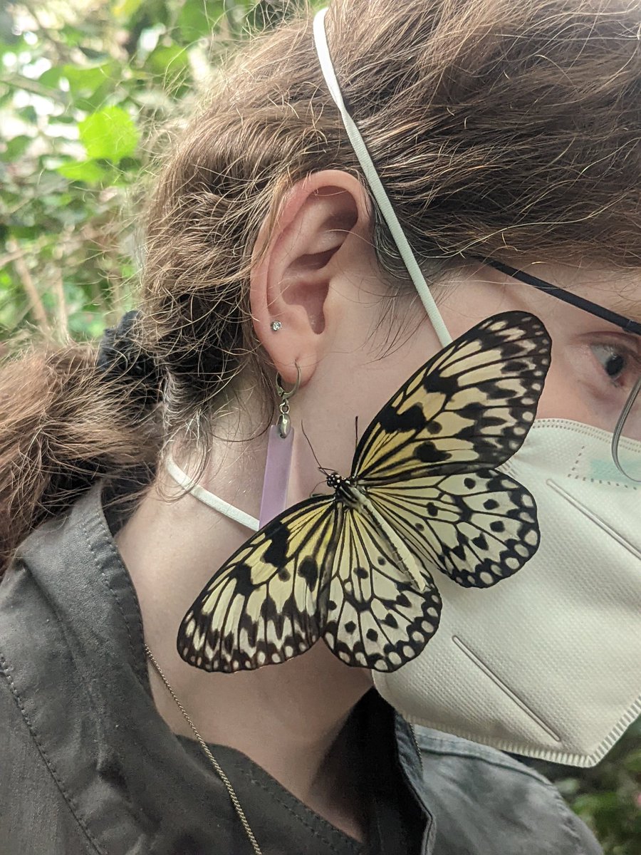 void angel 𒌓's Threads – Thread Reader App