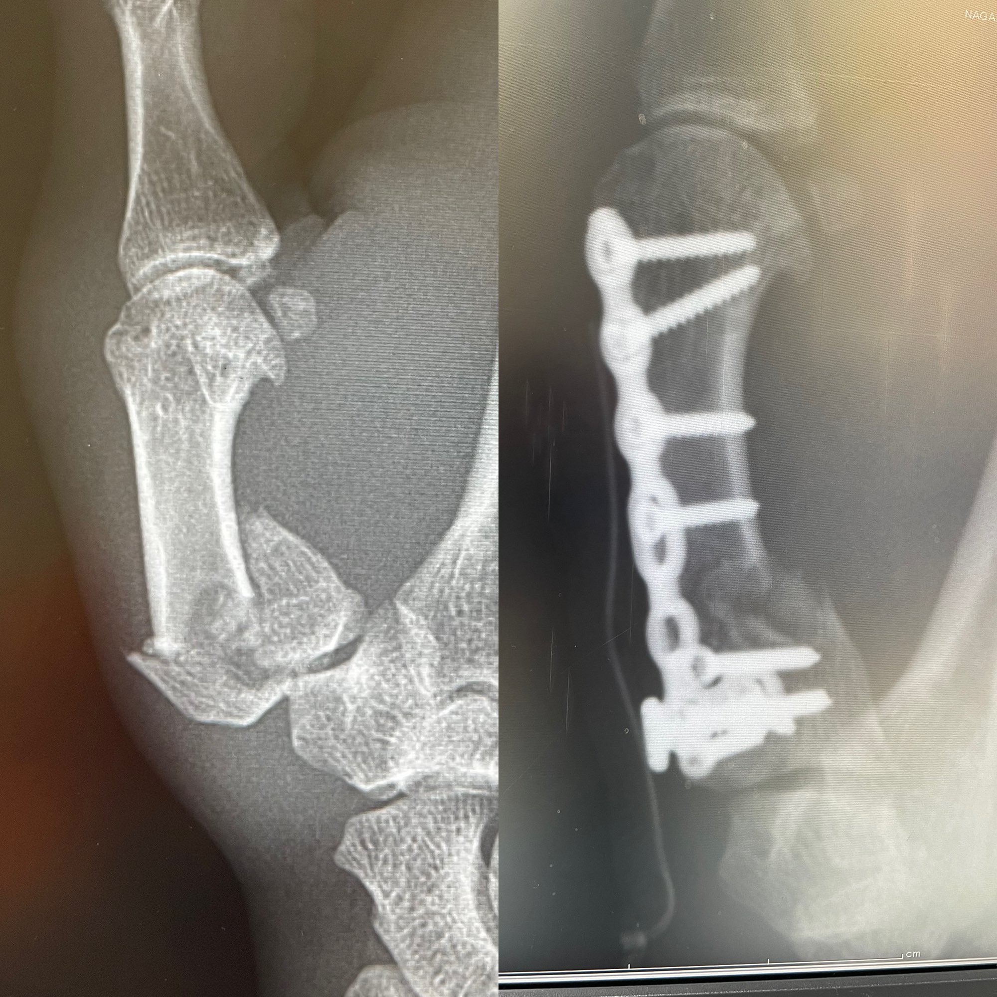 藤野恵実 emi fujino (@emi_fujino) / Twitter