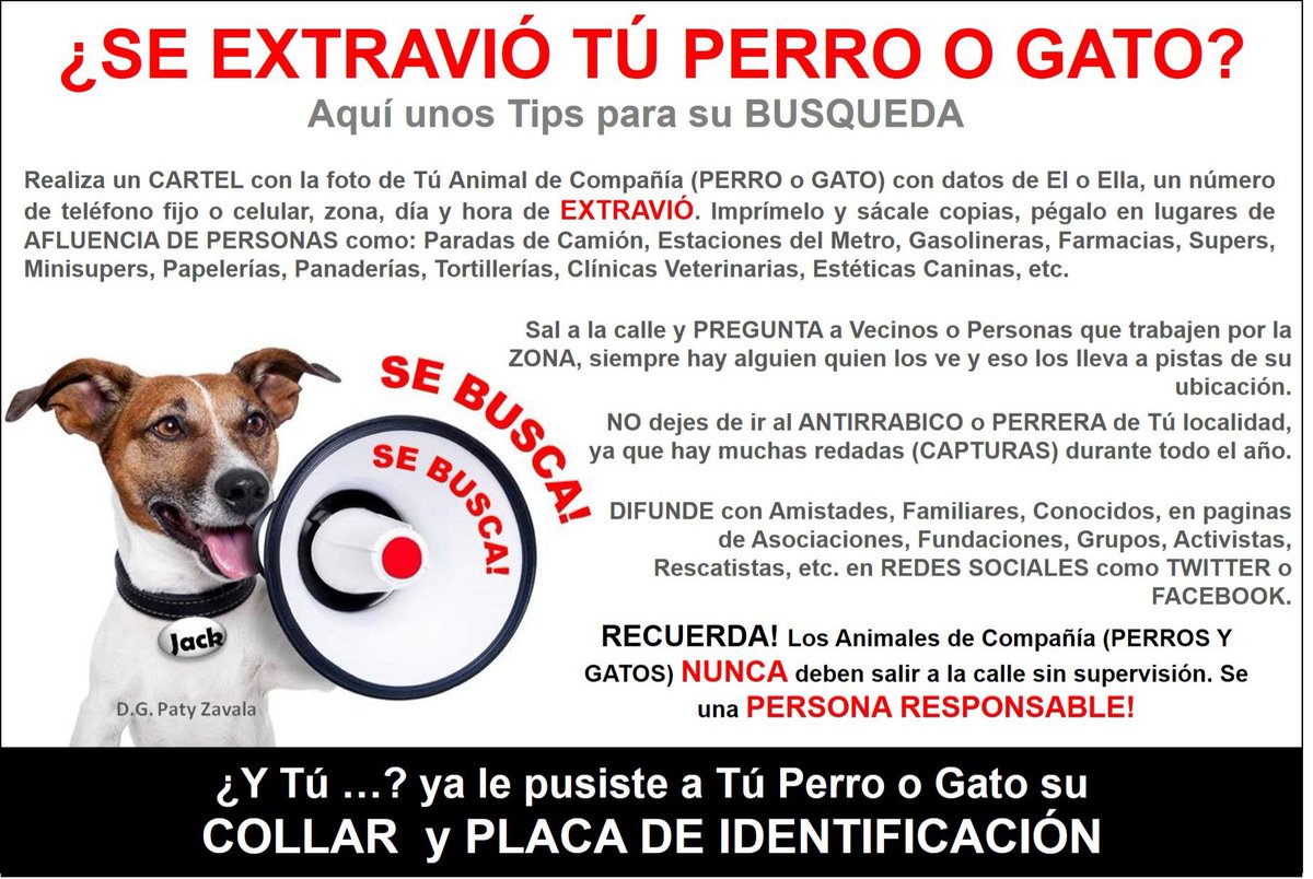 AnimalesCDMX on Twitter: AnimalesCDMX on Twitter: