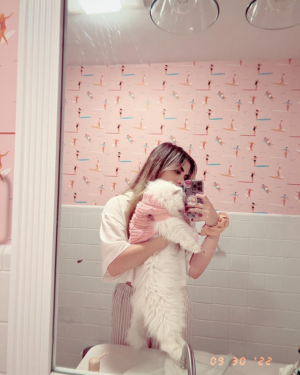 M on Twitter: "Miami kitty 💕"