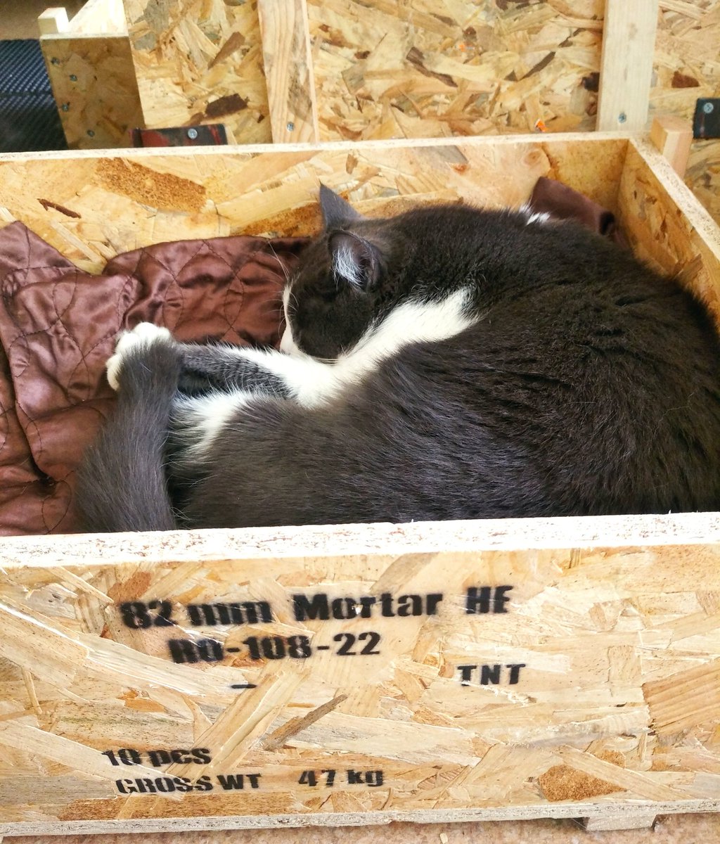 пані Холодний носик's Threads – Thread Reader App