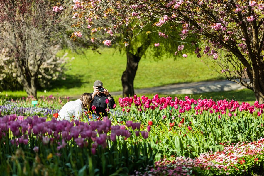 "Spring in wonderland" -- Take a leisurely stroll and enjoy the beauty ...