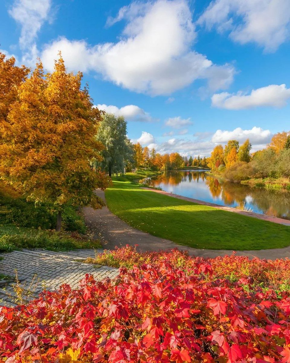 🍁 Happy Monday #nature #Monday #nature #monday 𝕄𝔸ℝ𝕐 @mary_esmaeeli