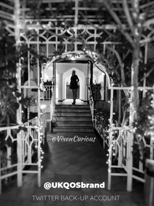 TW Pornstars - Curious Vixen 24k ♠️ ONLYFANS NO PPV 🇬🇧. Pictures and videos from Twitter. Page 11