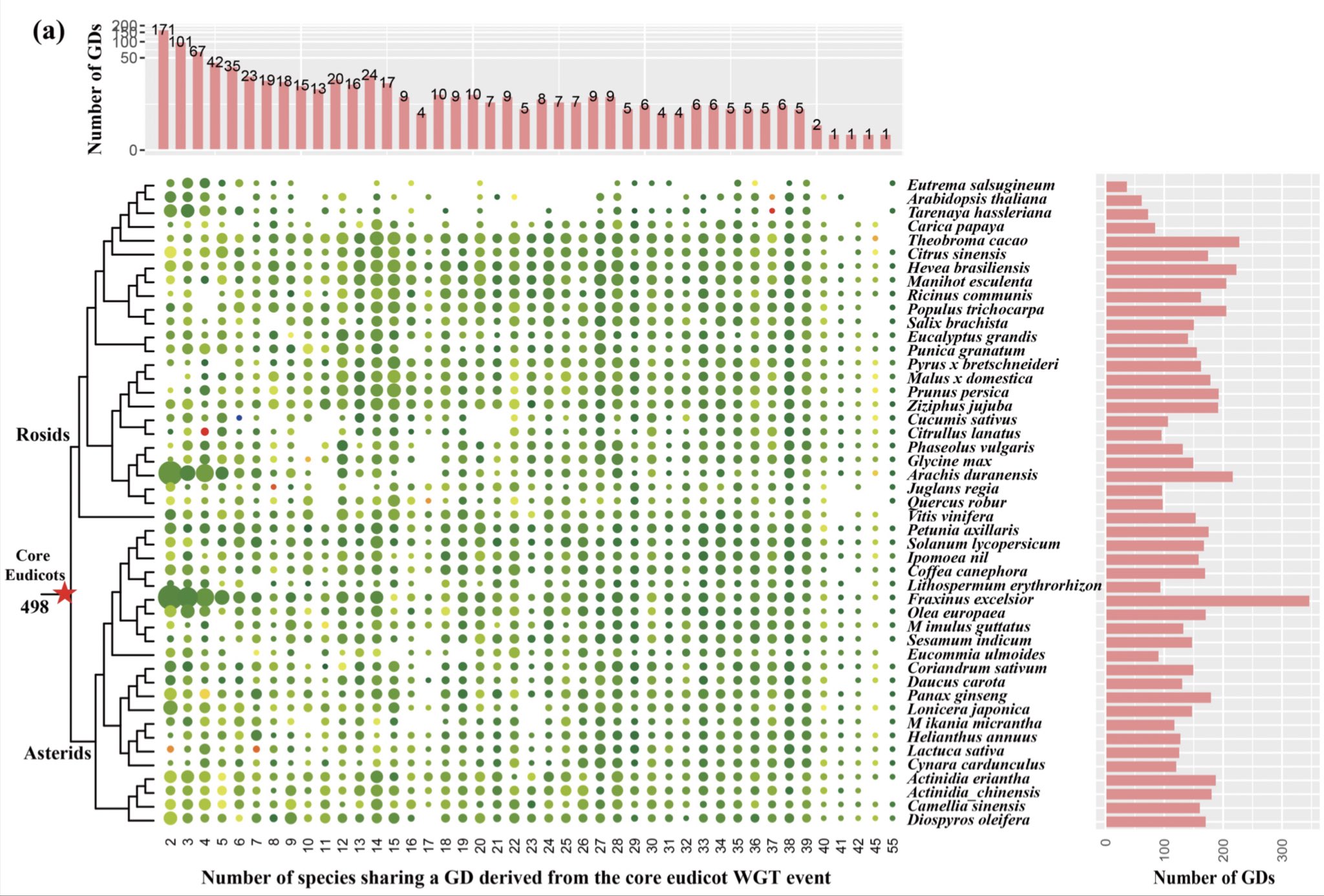 antisense. on Twitter: "Tree2GD: A Phylogenomic Method to Detect Large Scale Gene Duplication ...