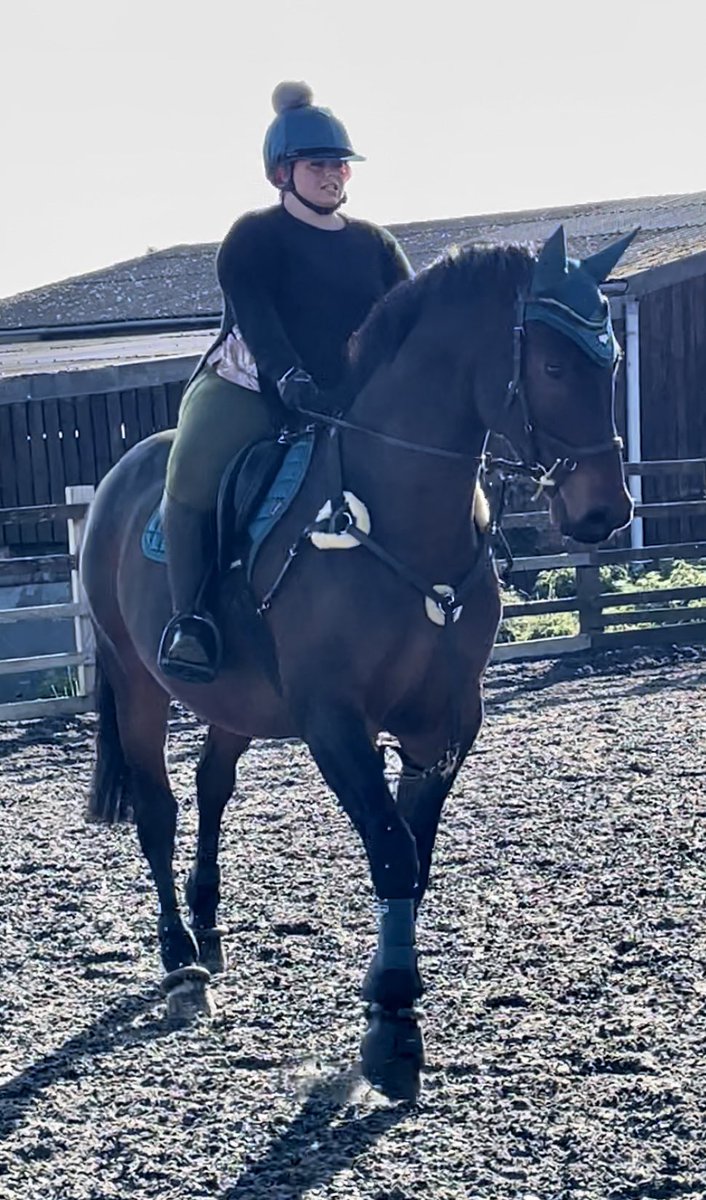 Manchester Mistress Eclipse & Derby Dominatrix on Twitter: "My best boy 🐴🤎 Back in the saddle at ...