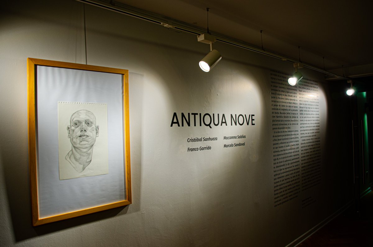 Pinacoteca UdeC on Twitter: "#ExposicionesUdeC: Ya está disponible para visitar la exposición ...