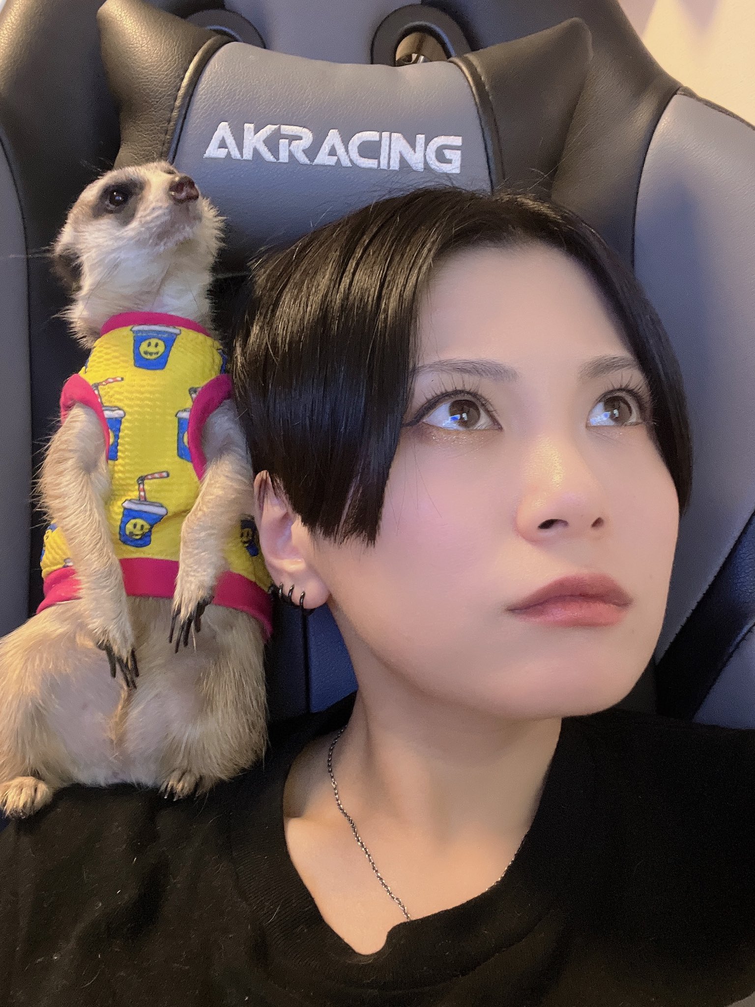 RaMu on Twitter: "おやすみなさい https://t.co/5nK5xbujfm" / Twitter