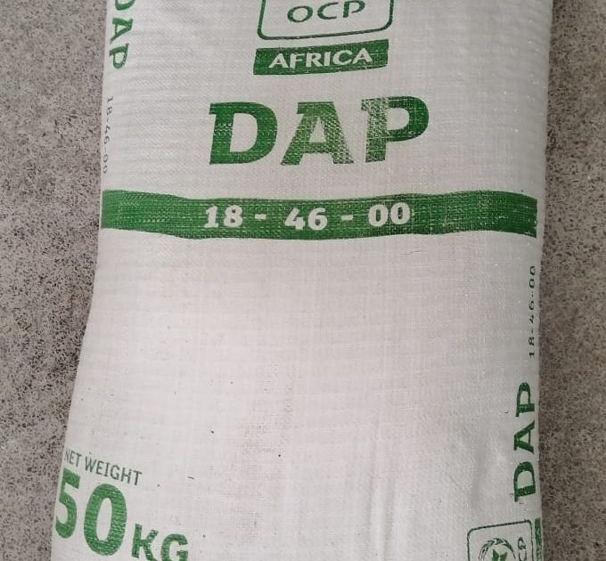 Morocco Intelligence on Twitter: "🇲🇦🇰🇪 | Grande promesse électorale de @WilliamsRuto, les ...