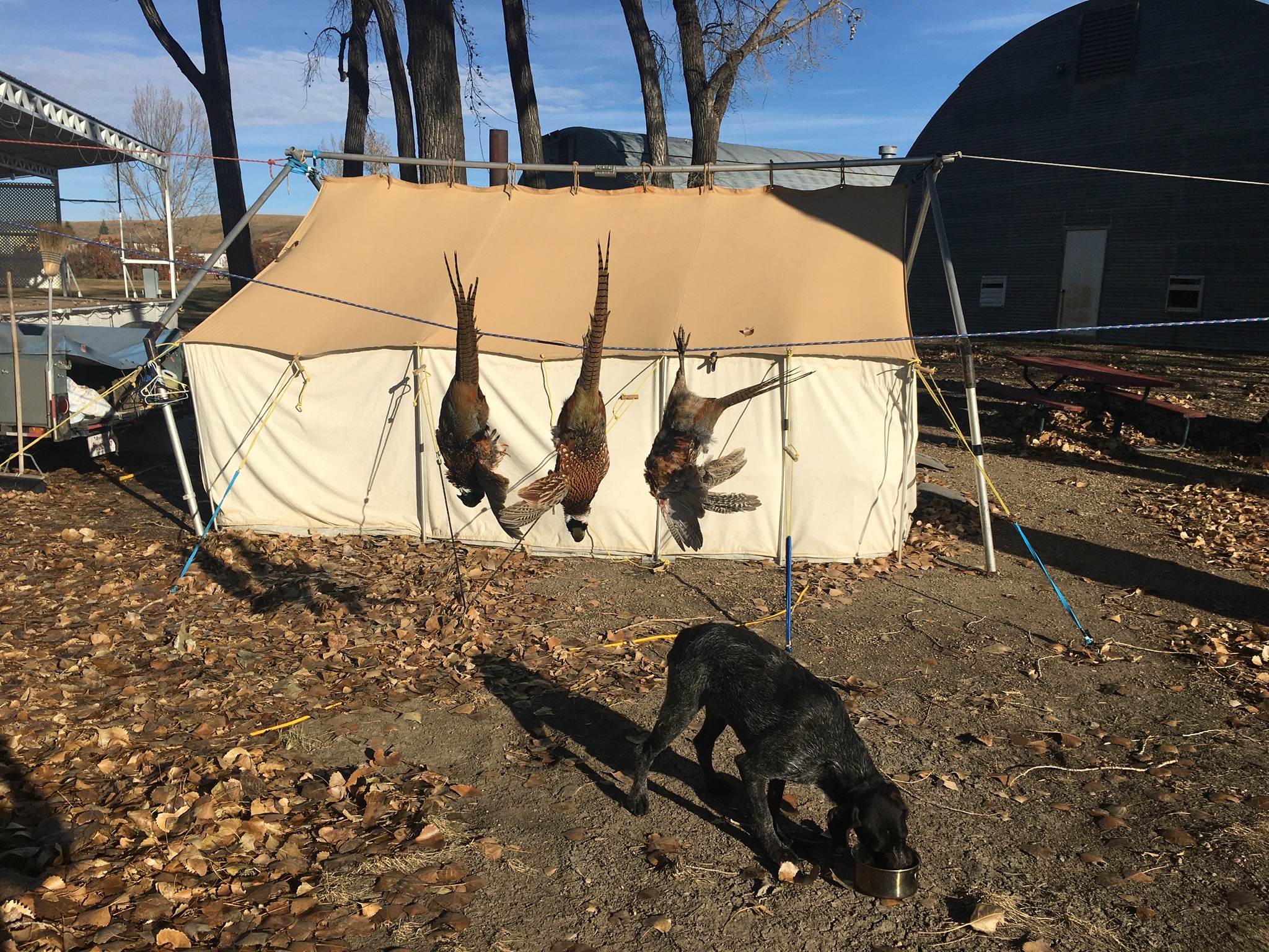 Dammit Jeff on Twitter: "This is why https://t.co/7sRBIQZZut" / Twitter