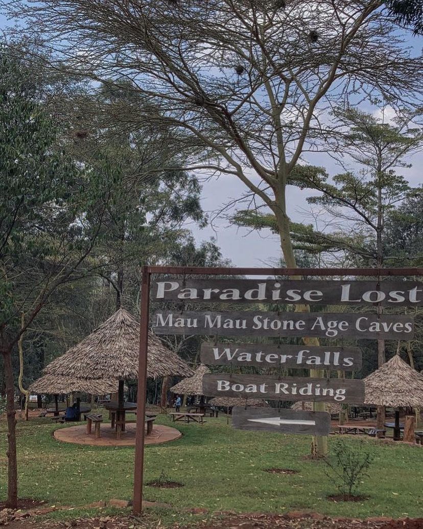 Adam Maina ™'s Threads – Thread Reader App