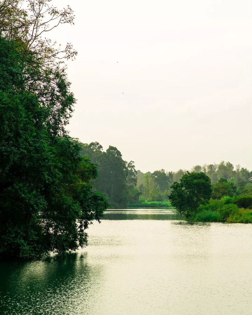 Adam Maina ™'s Threads – Thread Reader App