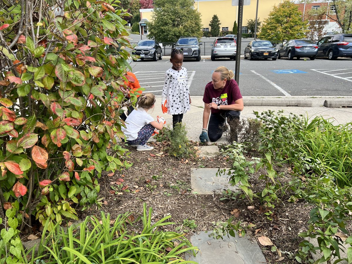 Welcome to Glebe - Glebe