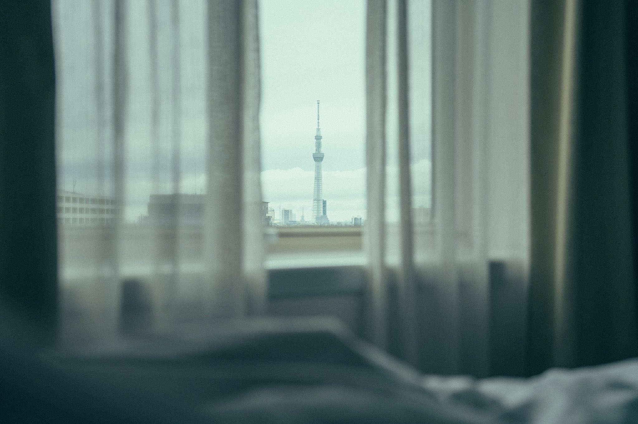 Riki (@riki_s7_) / Twitter