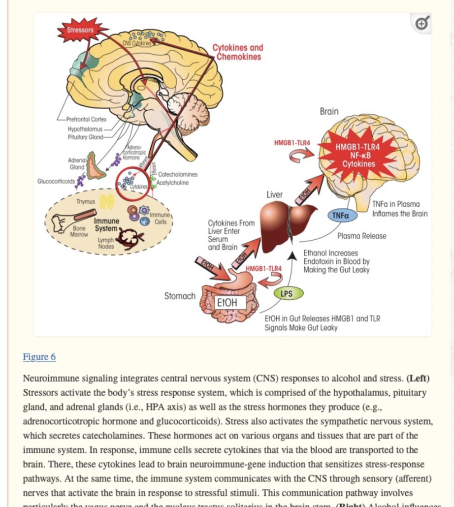 The more i learn about alcohol the more i want to quit Alcohol poisons ...