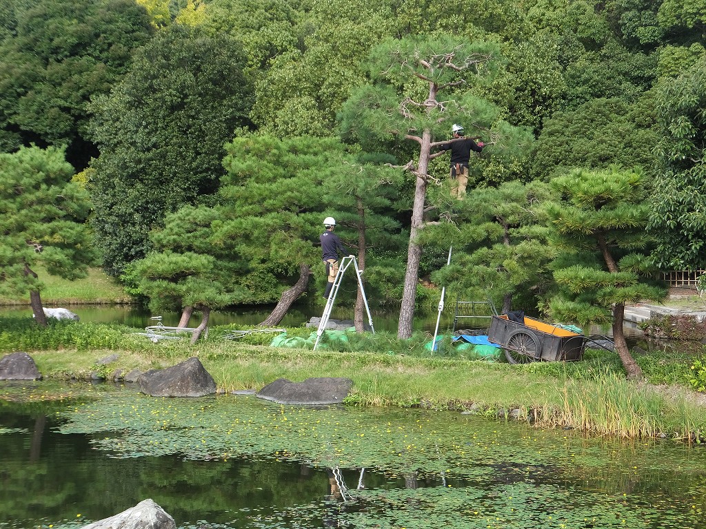 日本庭園メディア『おにわさん』中の人 Oniwastagram Twitter