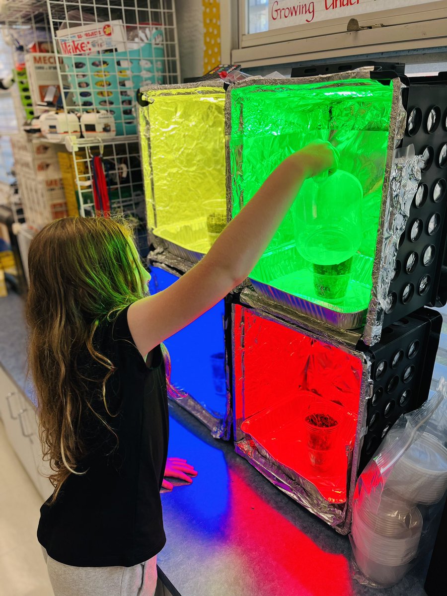 Micro:bit Educational Foundation on Twitter: "💚We love to see the ...