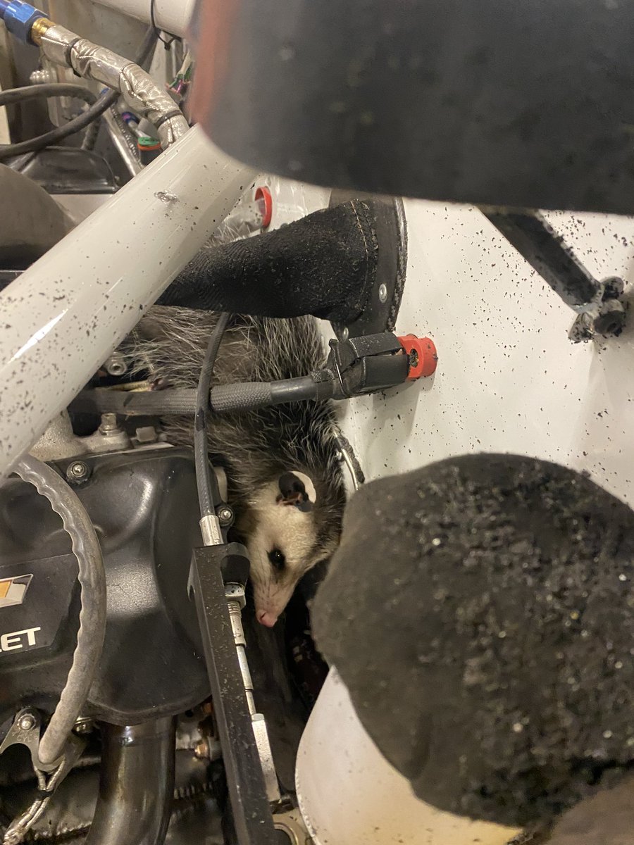 [From Dale Jr] There was a possum found in one of the JRM cars after it ...
