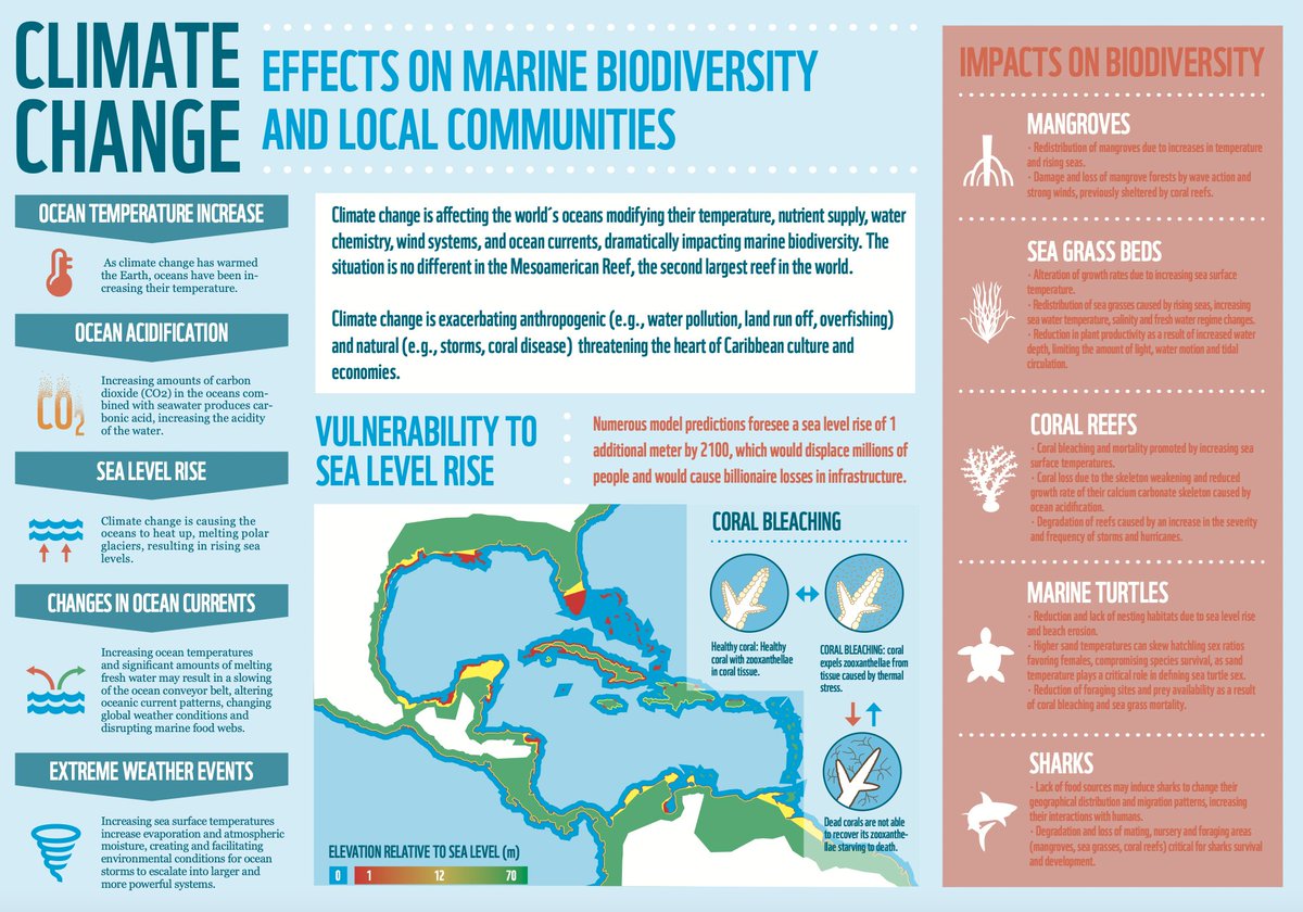 Global Environment Facility (GEF) (@theGEF) / Twitter