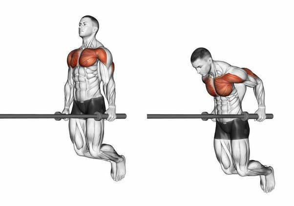 6 exercises that will transform your upper body: = Thread = - Thread ...