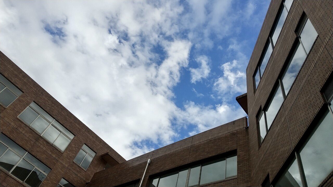 三浦理香子（映画備忘録更新中🎥） (@rikako_miura) / Twitter