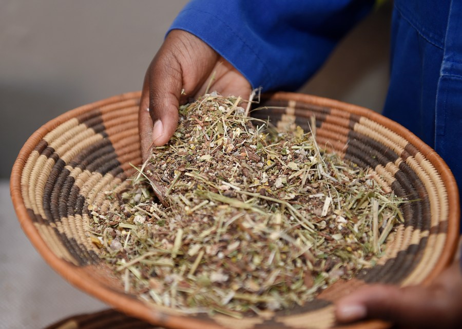 Botswana entrepreneur Tlotlo Phuduhuduturns is turning to indigenous ...