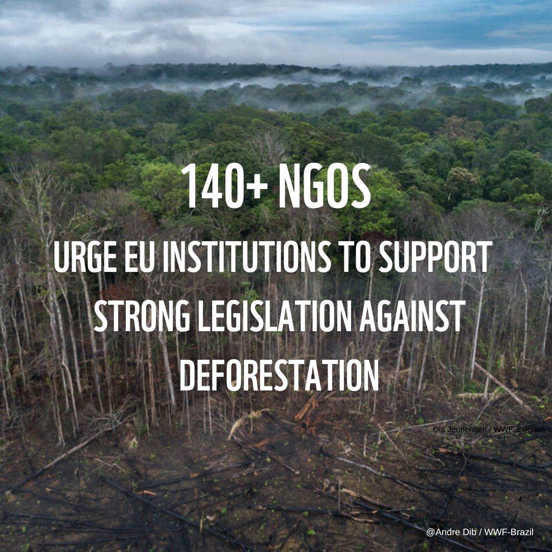 Banktrack On Twitter 140 Ngos Inc Banktrack Are Urging Eu
