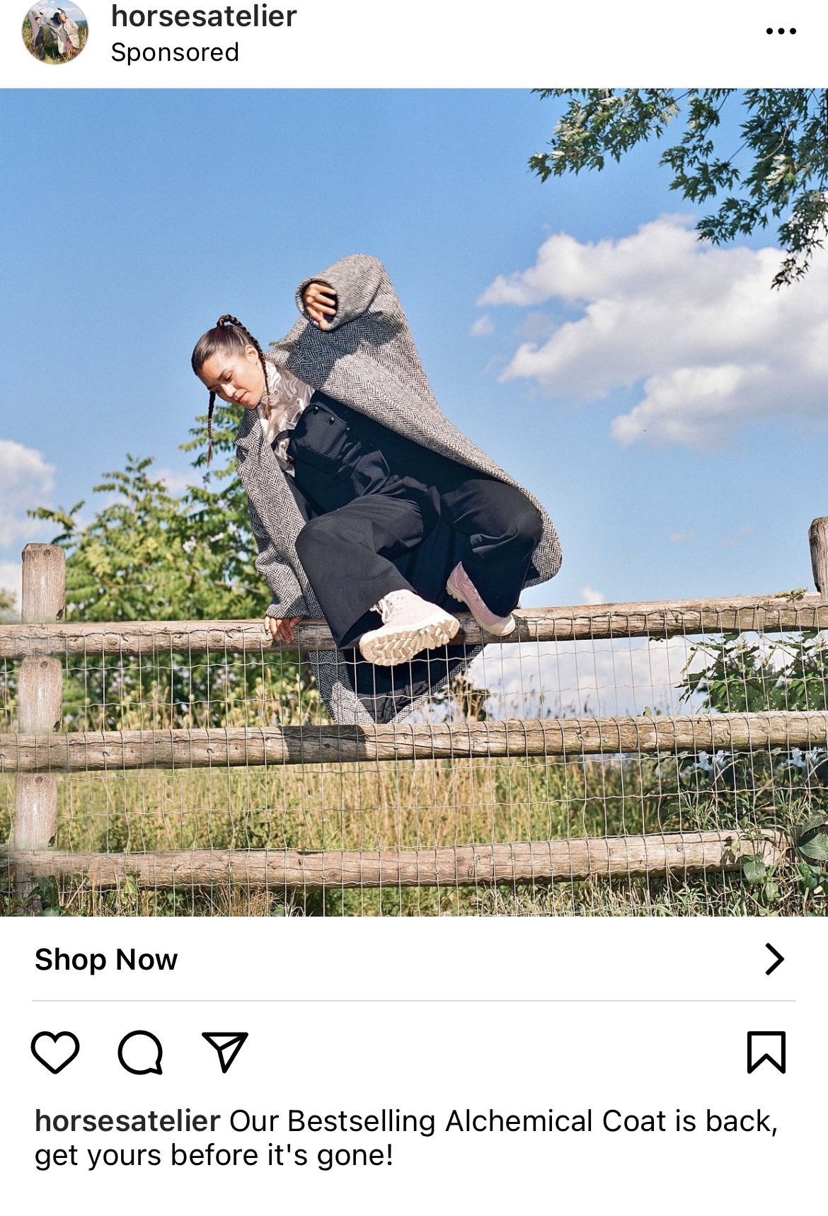 Phoebe Maltz Bovy 🐩 (@BovyMaltz) / Twitter