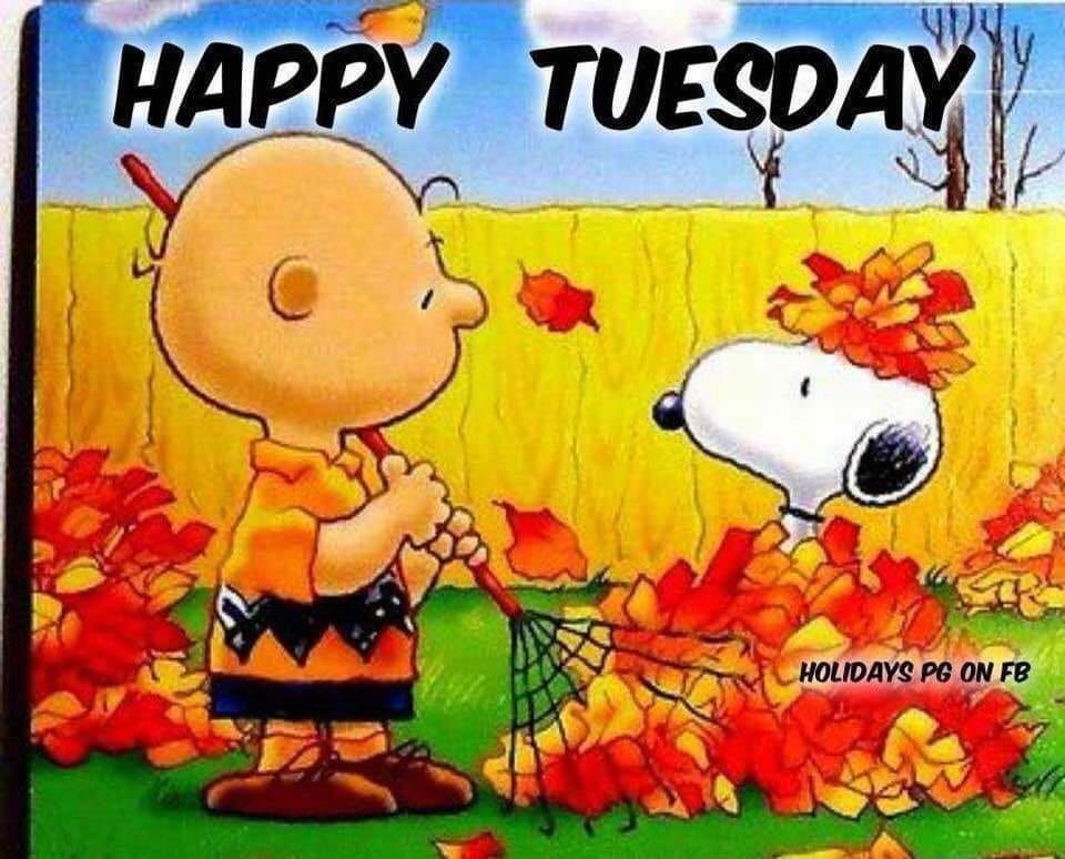 Snoopy Happy Tuesday Images