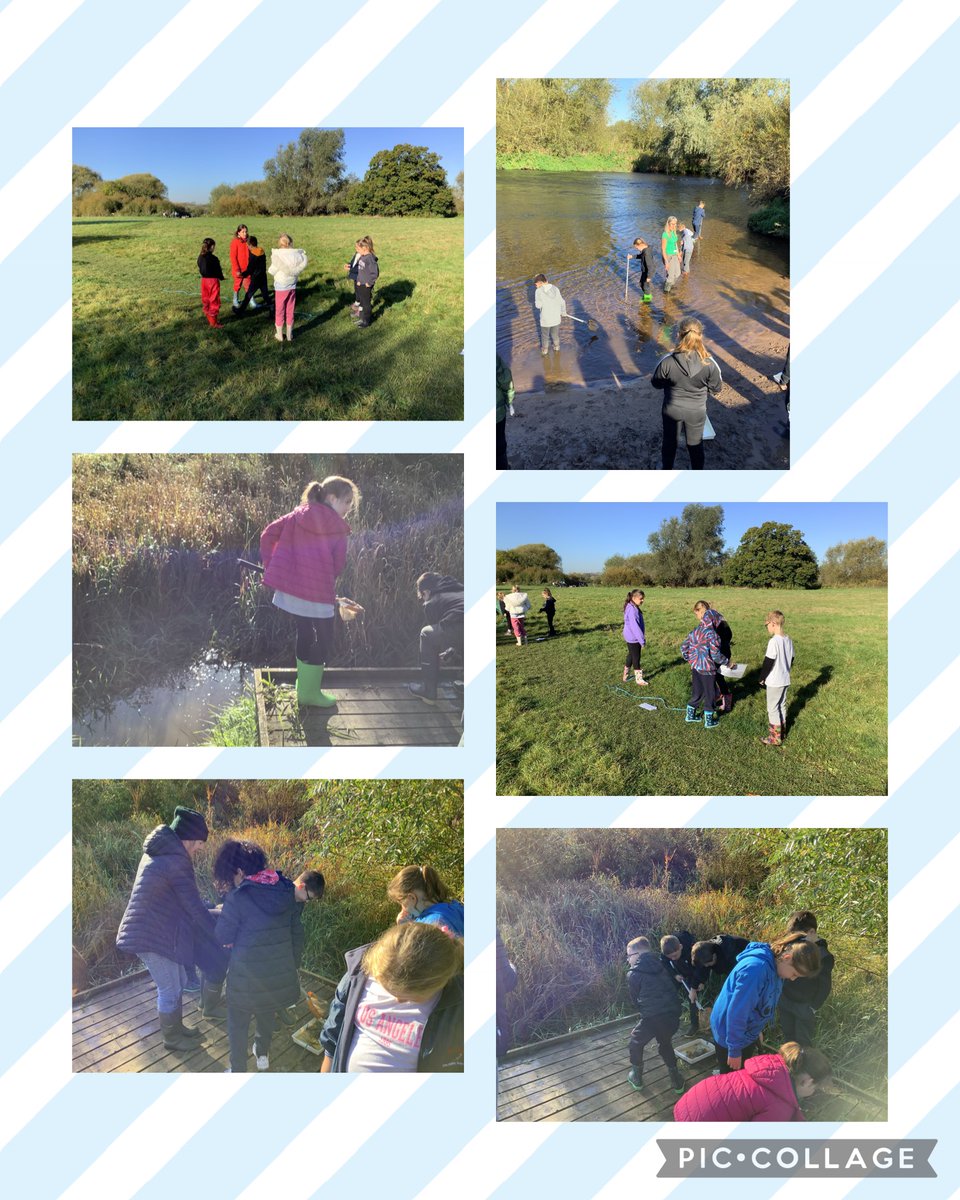 Two Gates Primary School