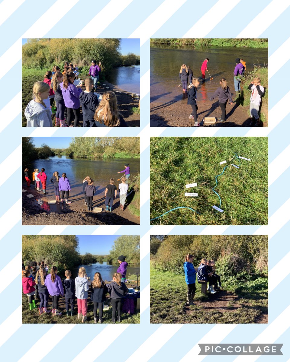 Two Gates Primary School