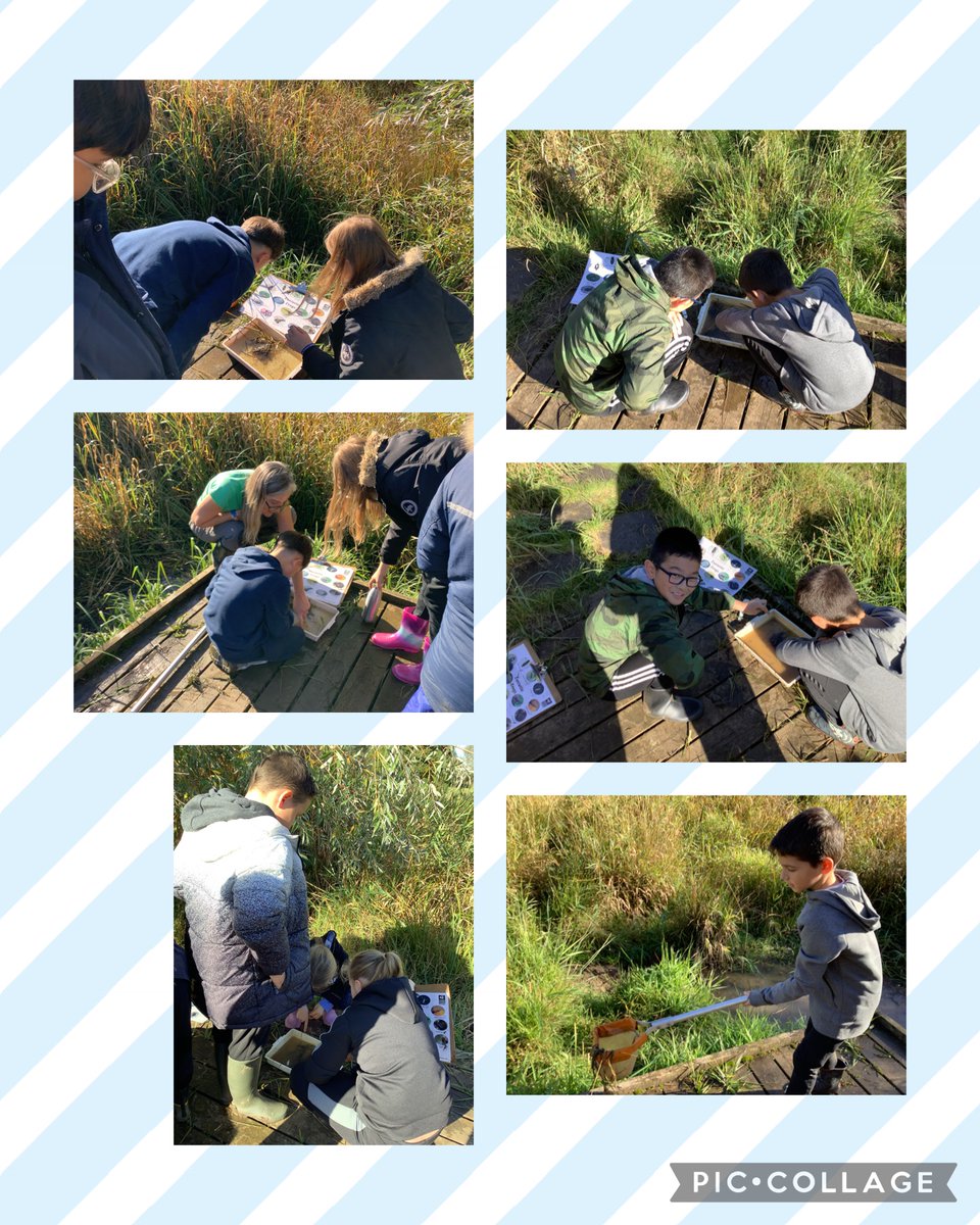 Two Gates Primary School