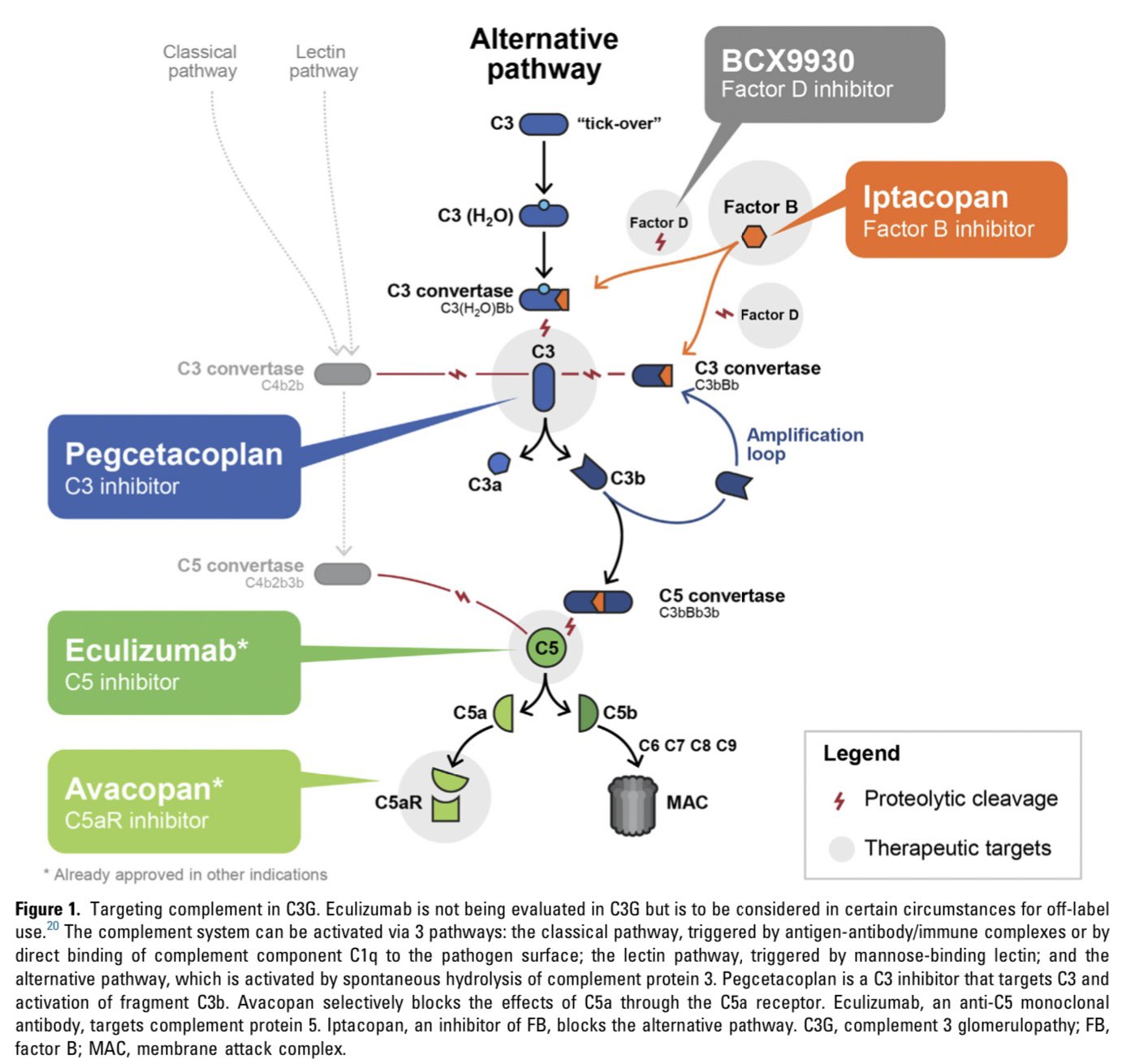 C3 Pathway