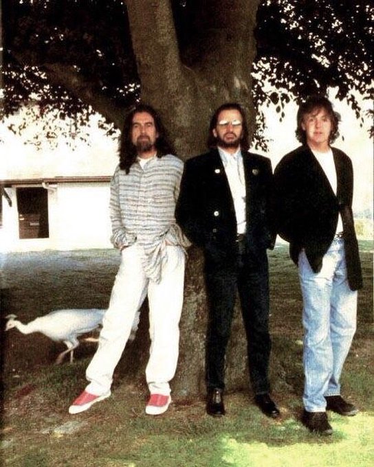 This photo is taken 1995. The next time George, Paul and Ringo were in ...