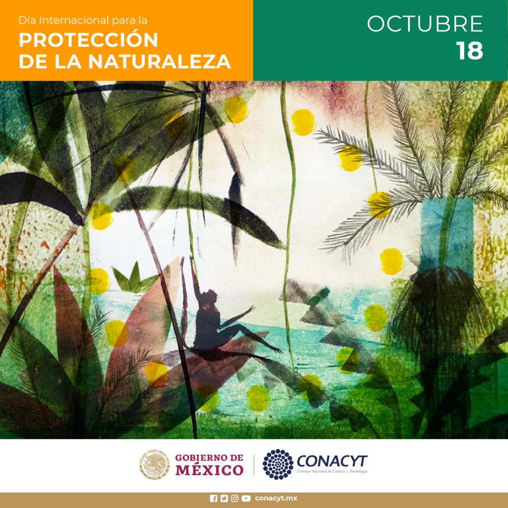 Conacyt México on Twitter: Conacyt México on Twitter:
