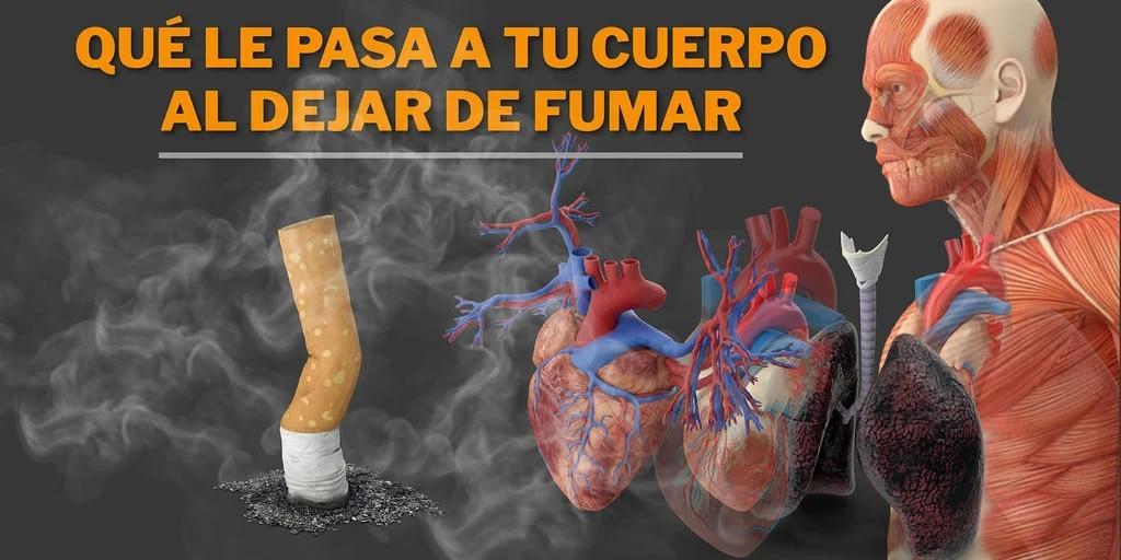 Infobae México On Twitter Esto Es Lo Que Le Pasa A Tu Cuerpo Al Dejar