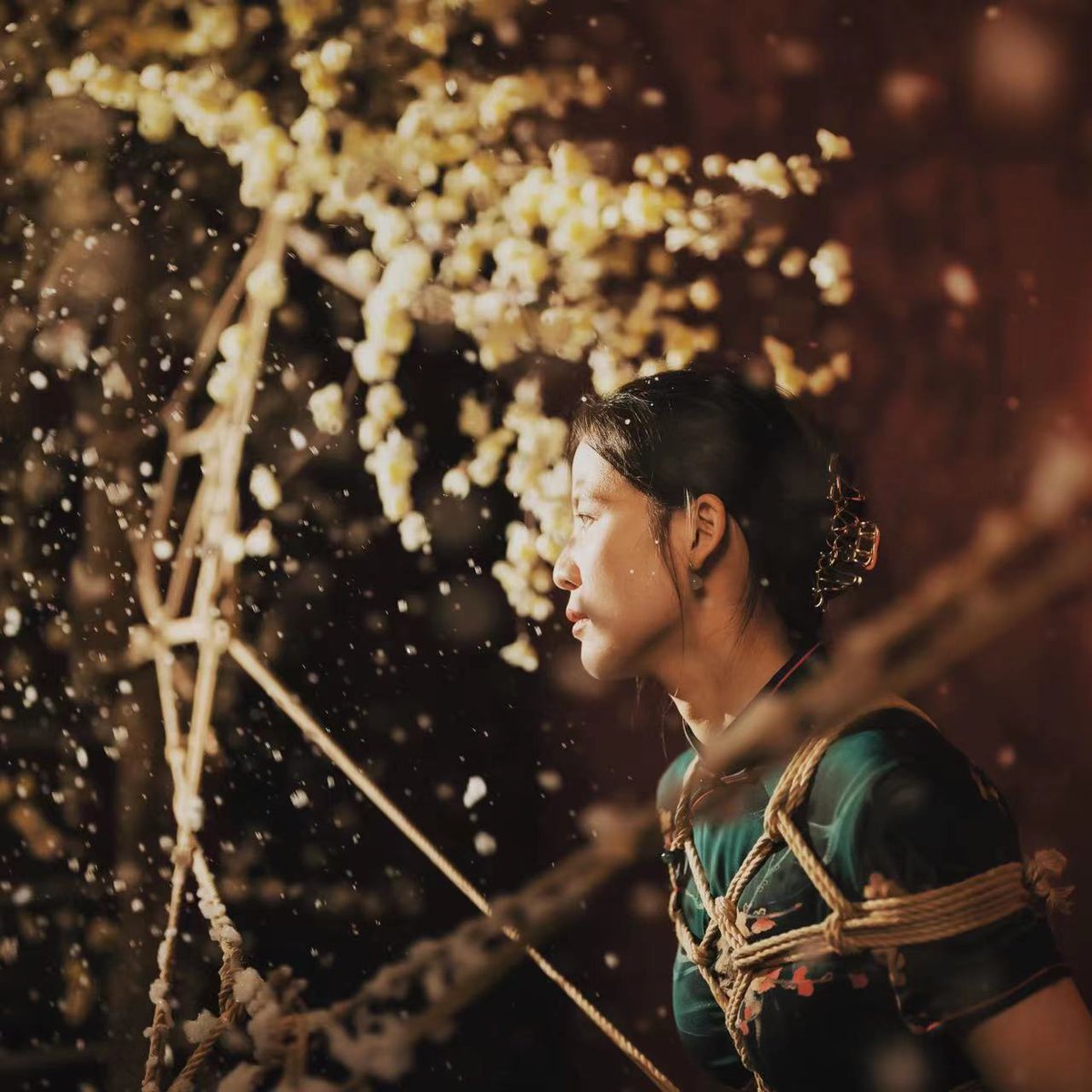 Leo-SHIBARI on Twitter: "如画一般美丽 缚手：Leo 模特：@JiuYue_Shibari 摄影：w #绳缚 #紧缚 #拘束 #bondage #rope # ...