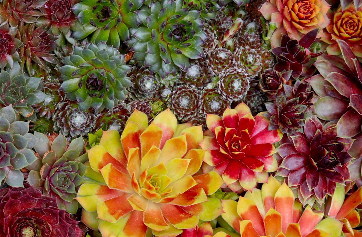 Newey Group | Newey is an industry leading UK horticultural business.