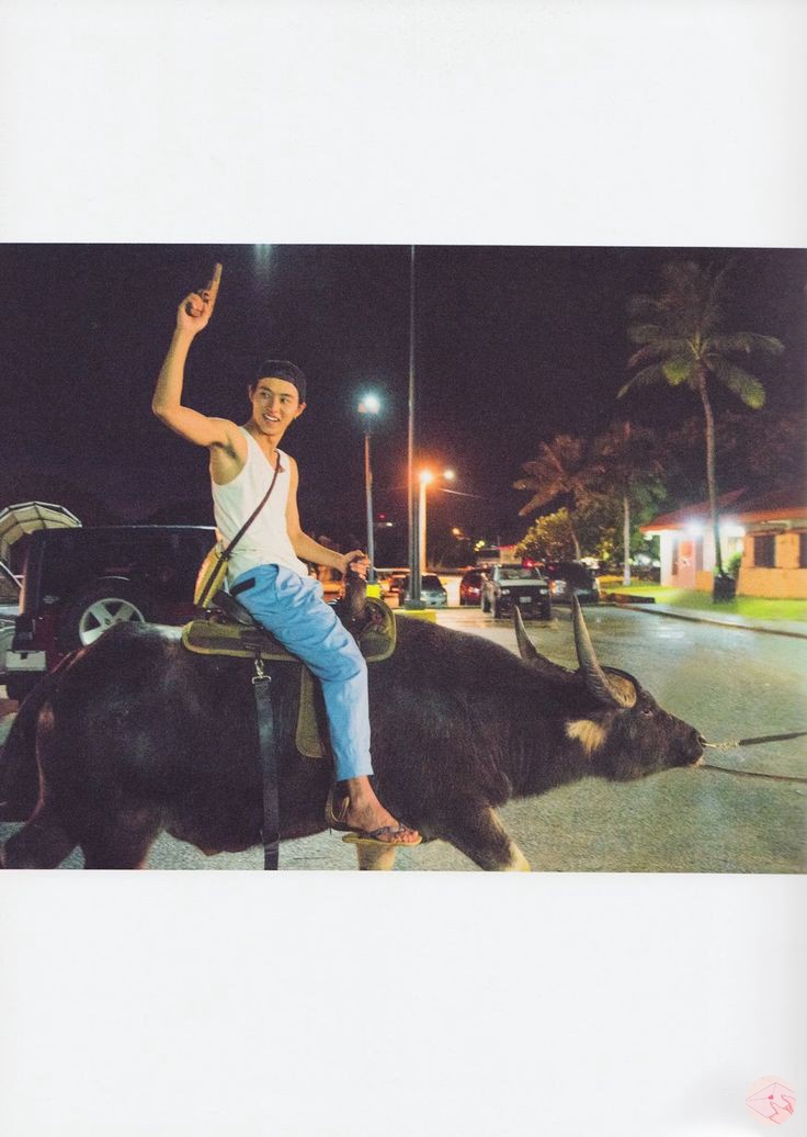 JAPANFESS TERANG on Twitter: "*jpf guys saran nama wangsaff contact ...