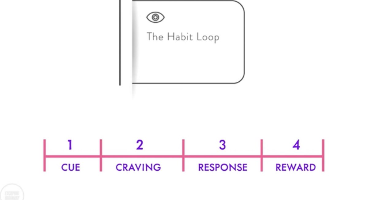 These 7 atomic habits will increase your productivity 7x and put you ...