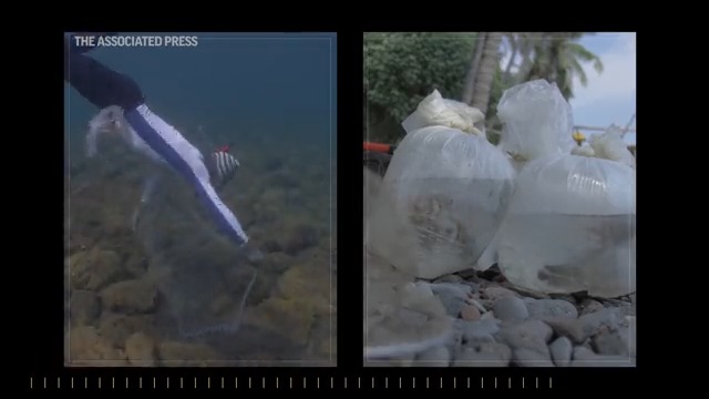 Have you ever wondered where your saltwater aquarium fish come from? @AP followed the supply ...