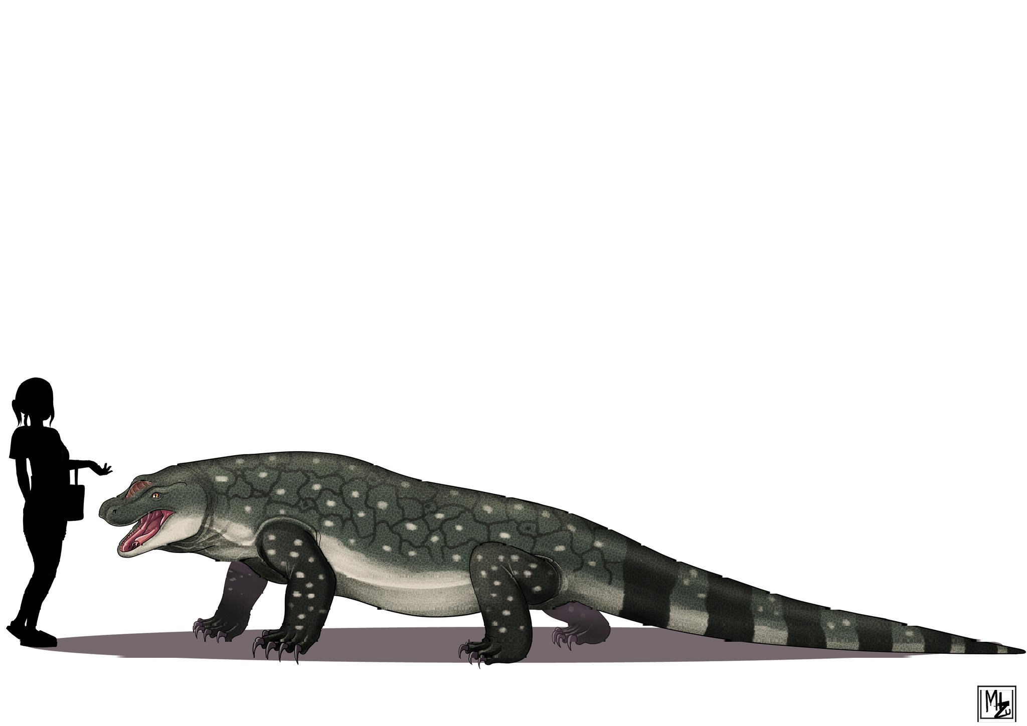 Megalania Size Comparison Megalania Size Comparison
