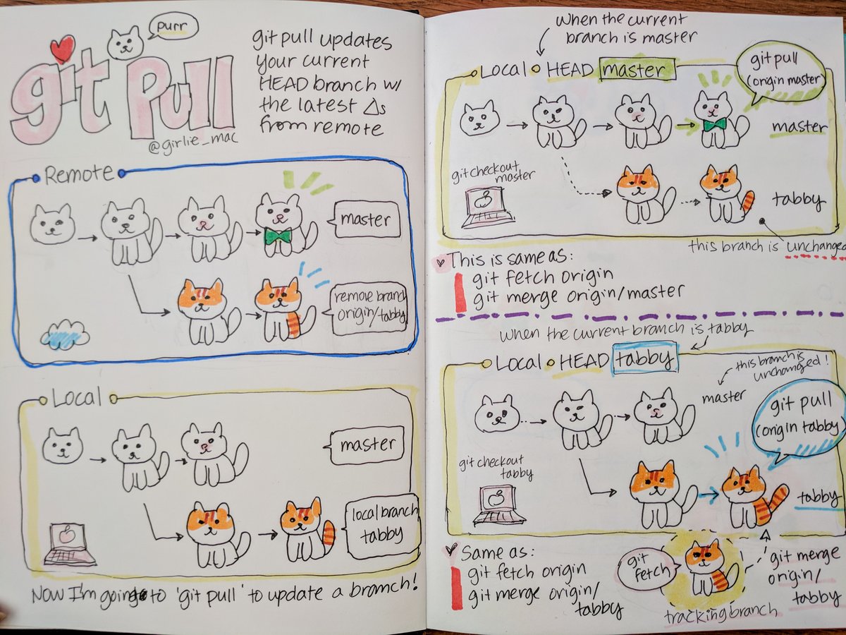 Data Scientist Or Software Engineer Every Programer Must Know Git 👊