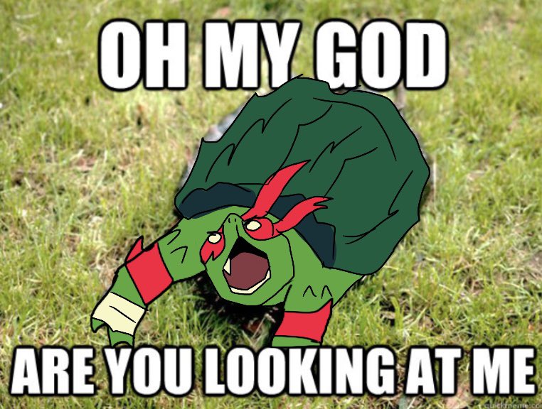 Snapping Turtle Meme