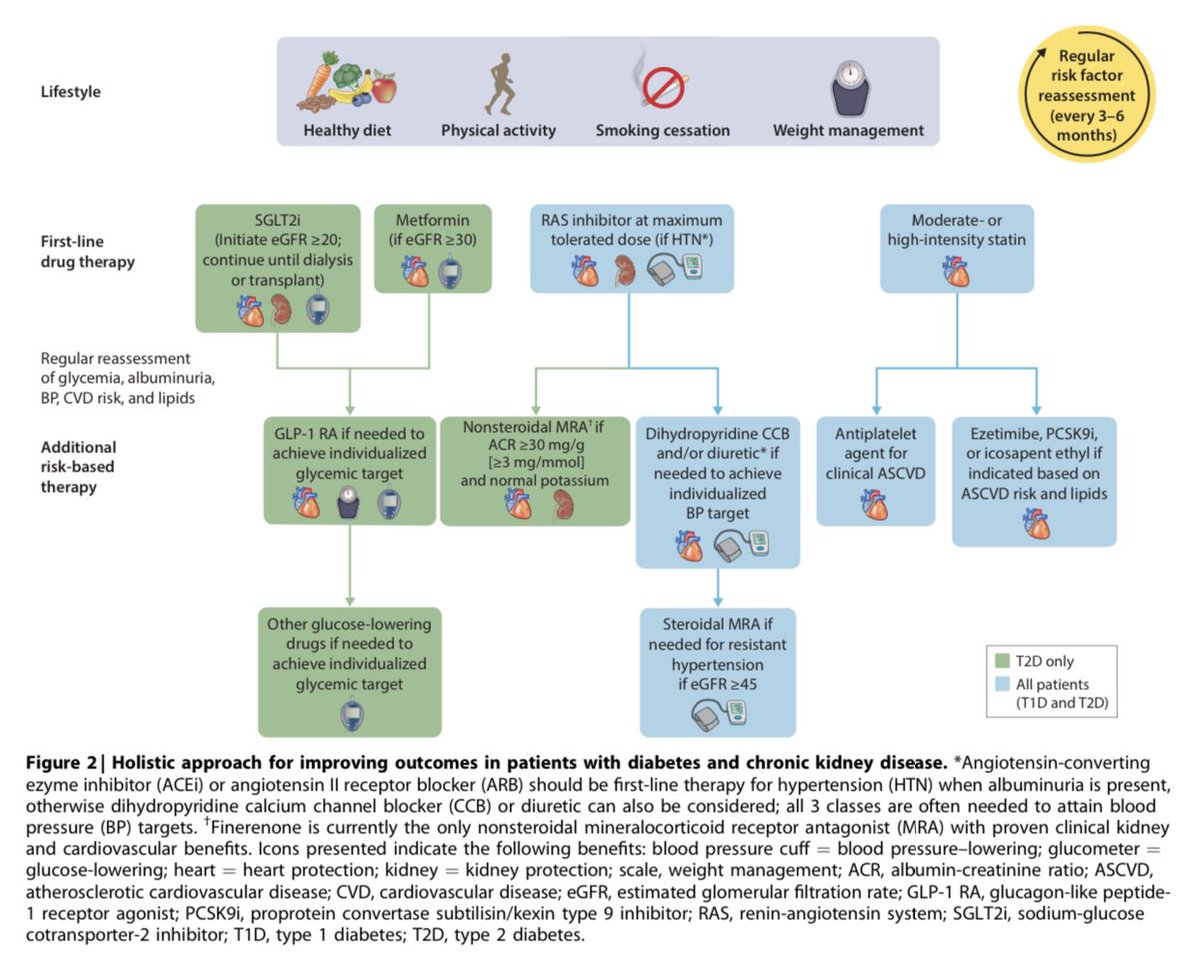 Edgar V Lerma šµš On Twitter The Updated š Gokdigo 2022 Diabetes